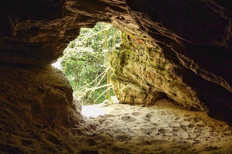 urvas - Visuotinė lietuvių enciklopedija