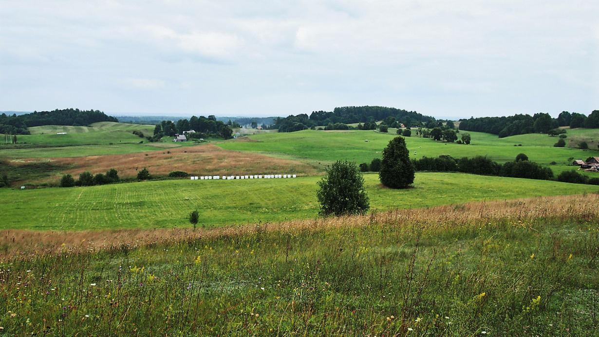 Utenos rajono savivaldybė - Visuotinė lietuvių enciklopedija