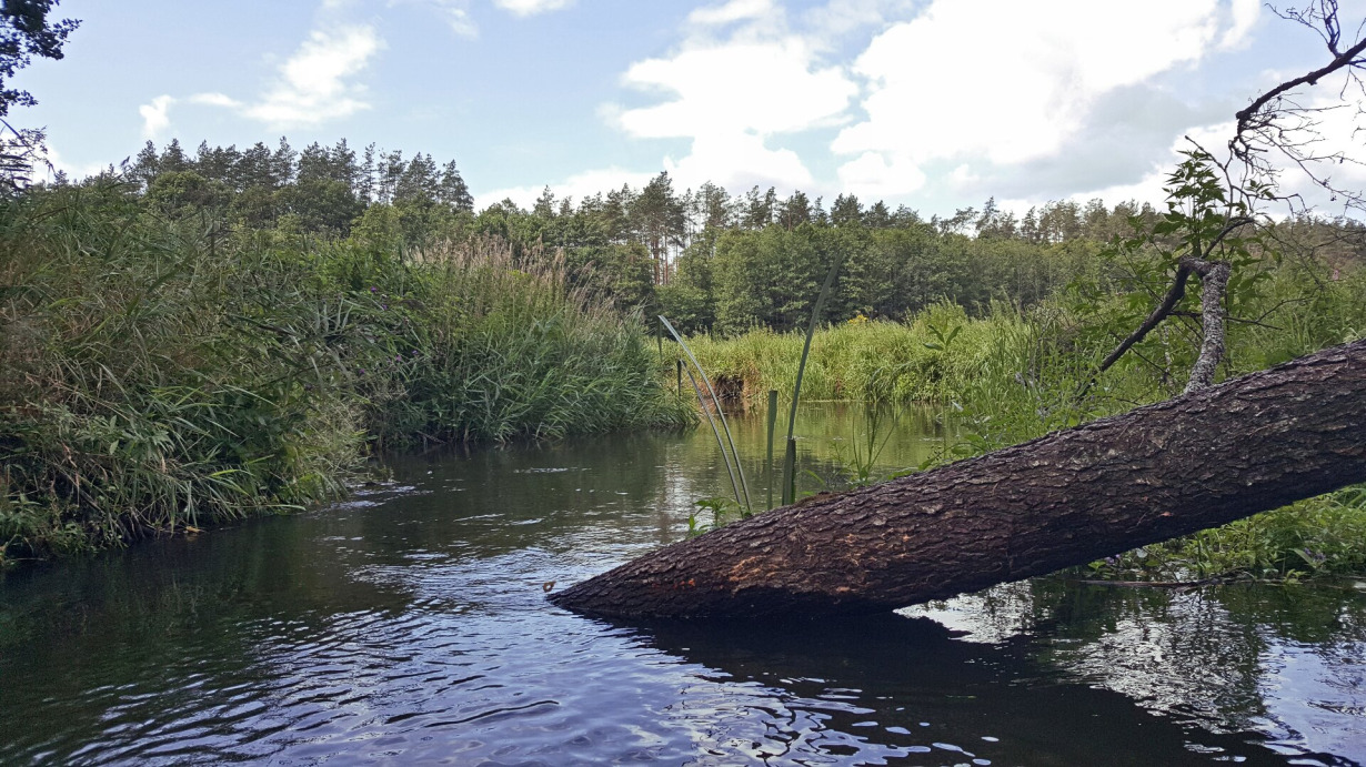 Varėnė - Visuotinė lietuvių enciklopedija