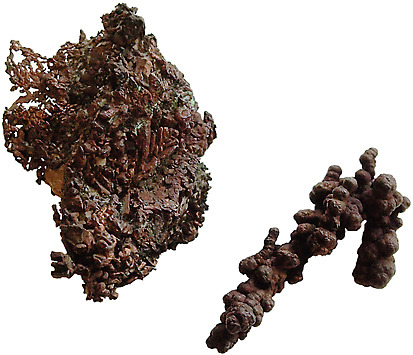 varis - Visuotinė lietuvių enciklopedija